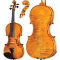 Fine Violin Model Dragon Advanced in Size 4/4 - String Power