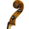 Franz Sander German FS500A Cello - String Power