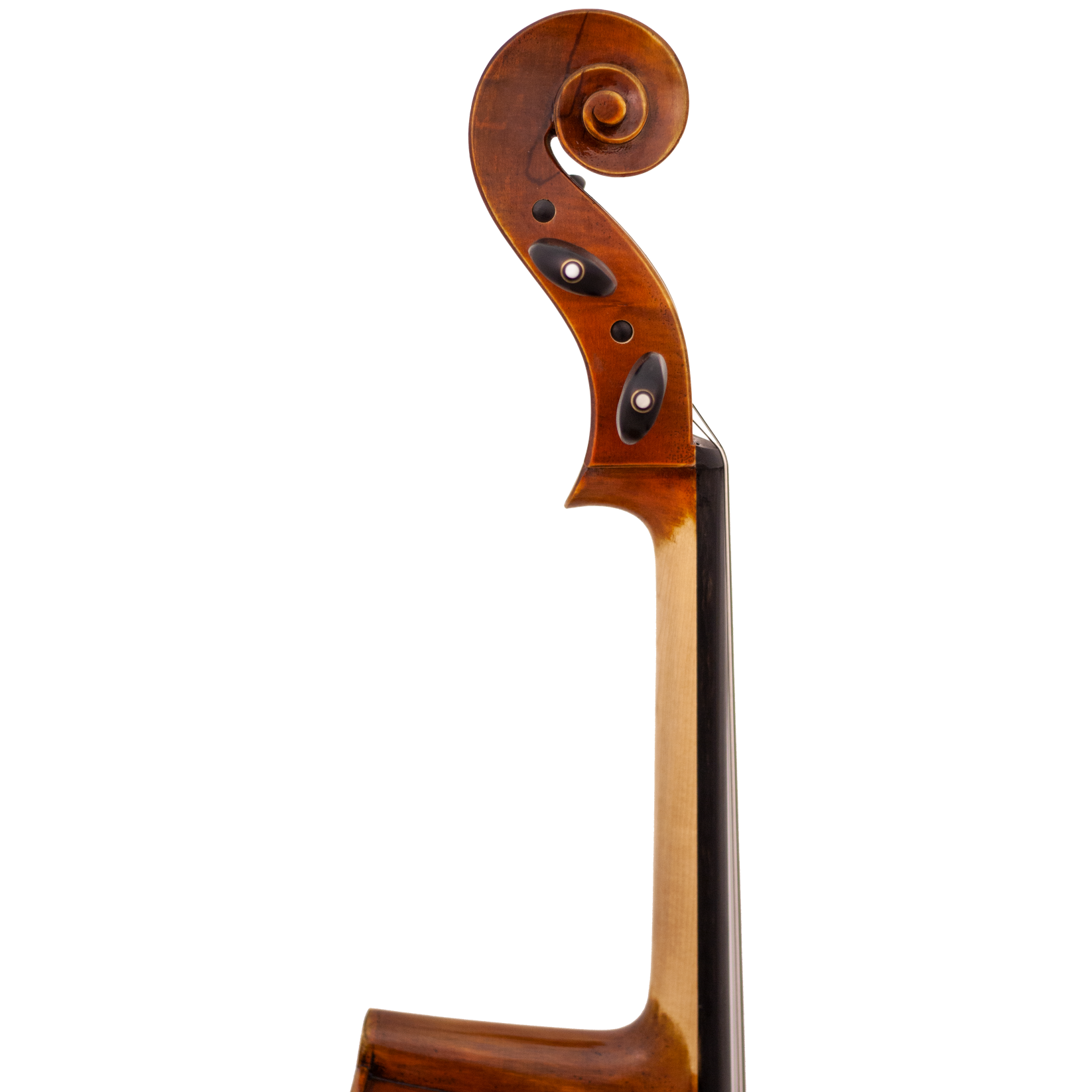 Cello Lady Claire Maple Leaf Strings