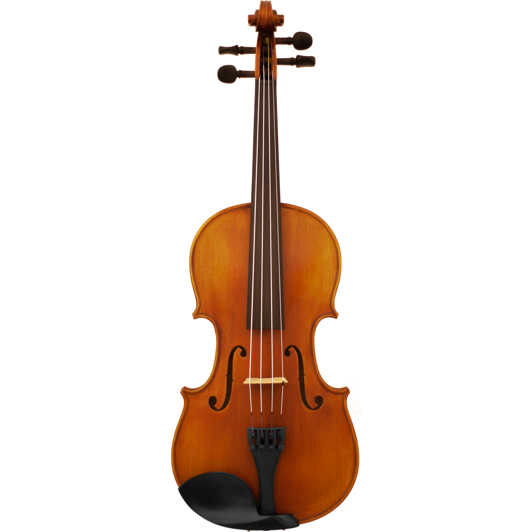 MLS140 Violin Outfit Maple Leaf Strings