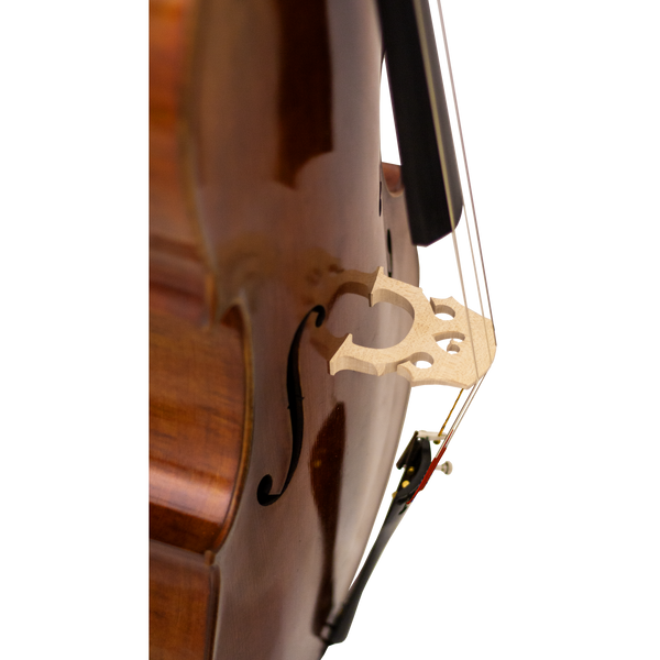 Master Linn Cello Maple Leaf Strings