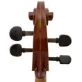 Master Linn Cello Maple Leaf Strings
