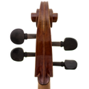 Master Linn Cello Maple Leaf Strings