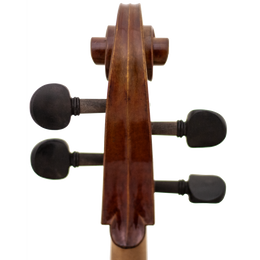 Master Linn Cello Maple Leaf Strings