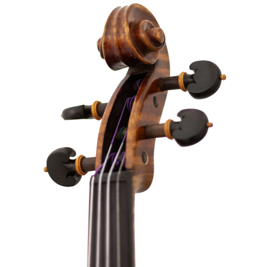 Master Linn Violin Maple Leaf Strings